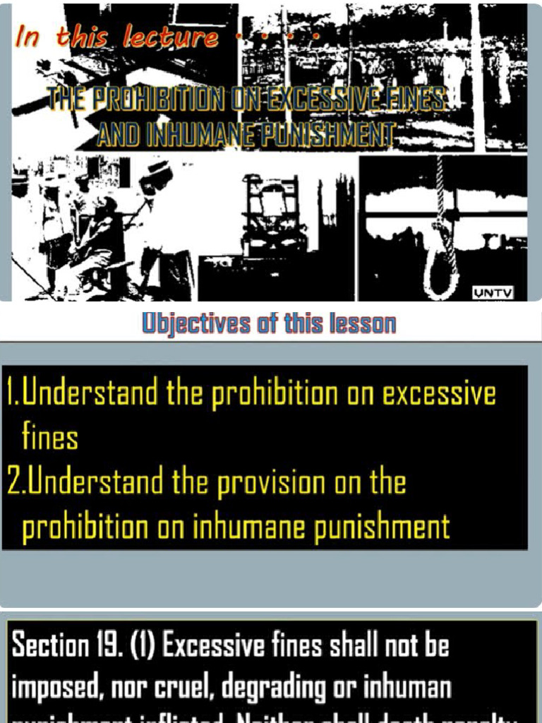 Excessive Fine Inhumane Punishment | PDF