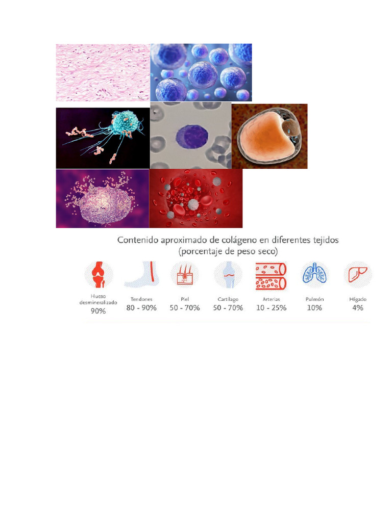 Biologia Celula | PDF