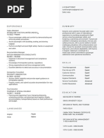 Emirates Cabin Crew CV Sample | PDF