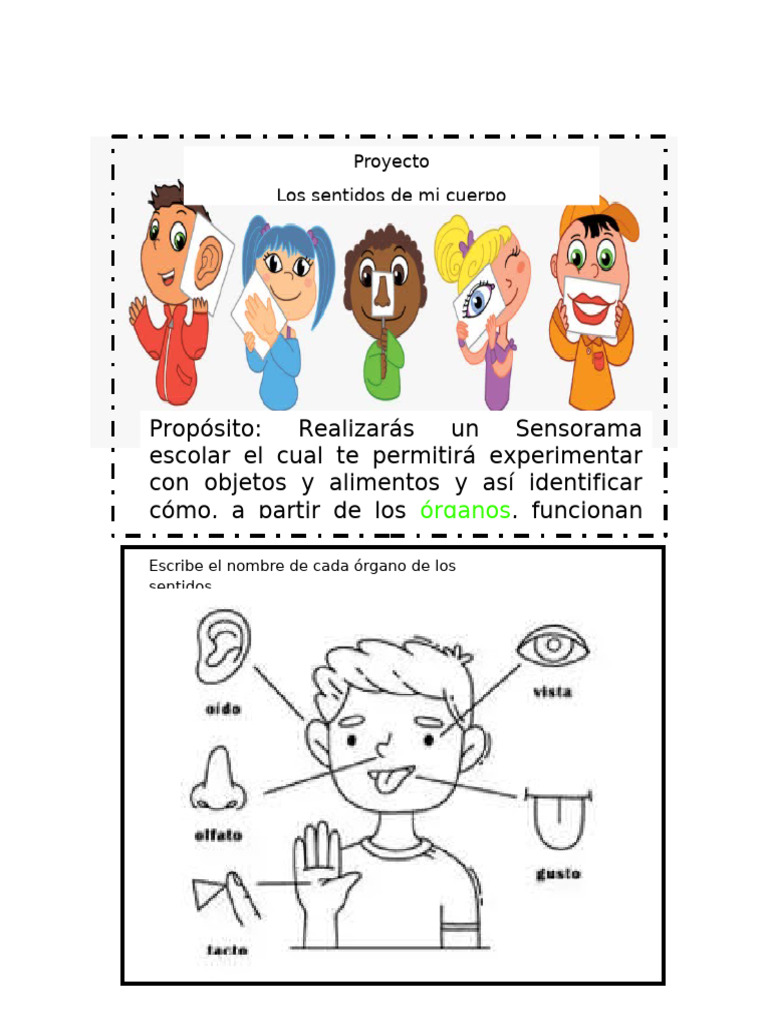 Los Sentidos de Mi Cuerpo | PDF
