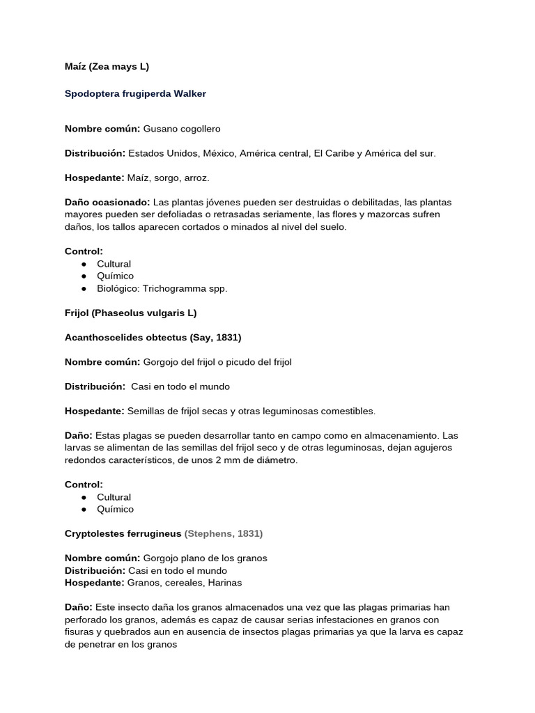 Ento | PDF | Frijol | Maíz