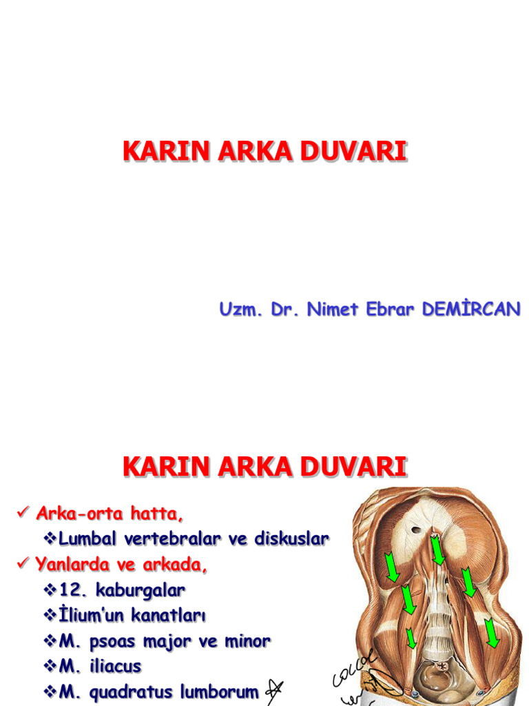 2karın Arka Duvarı | PDF