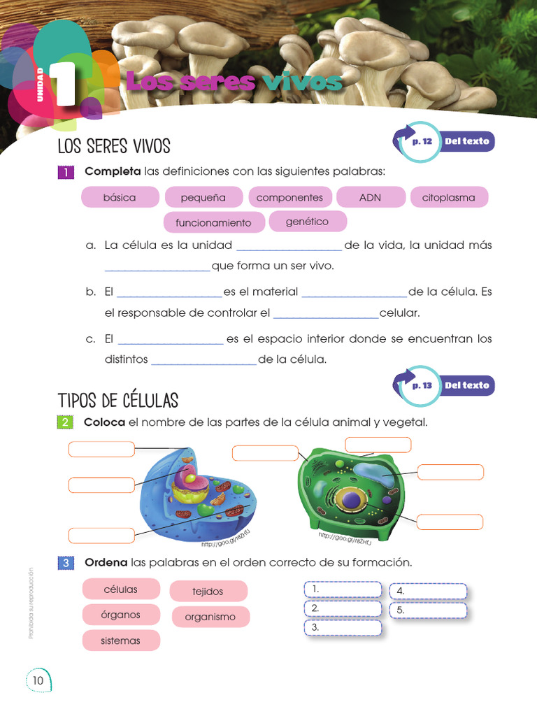 Refuerzo 1. La Celula | PDF | Biología Celular) | Organismos