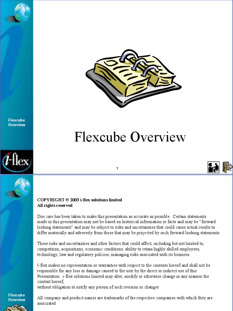 Flexcube Overview | Securities (Finance) | Banks