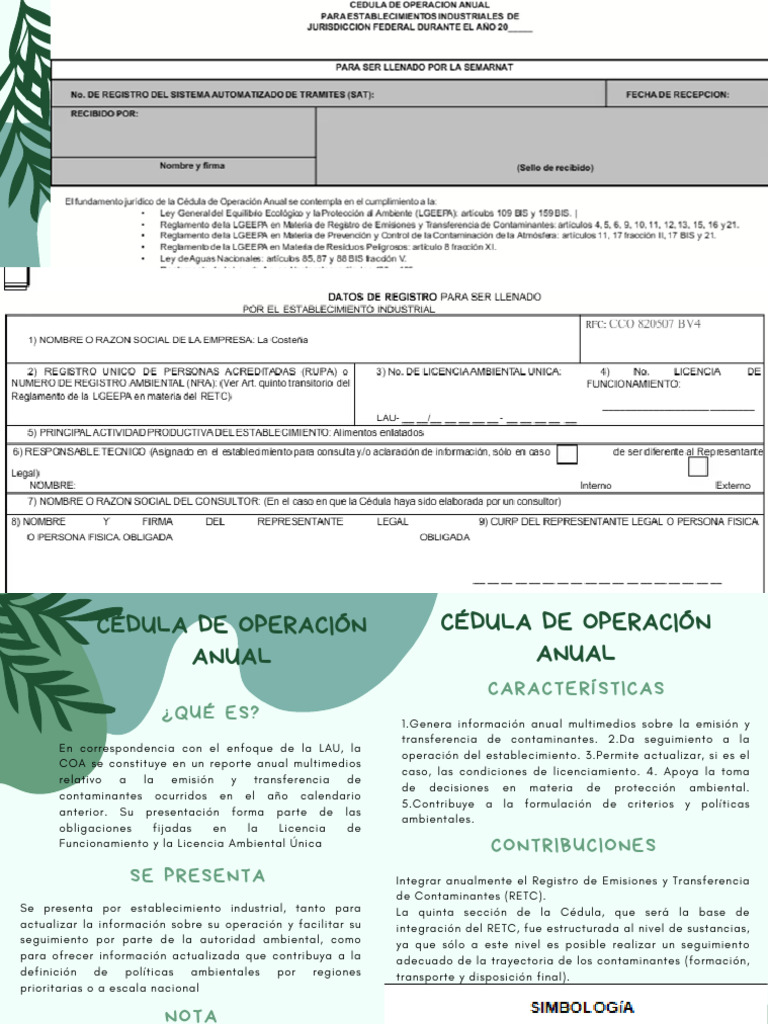 Cédula de Operación Anual: Informe Ambiental | PDF | Contaminación