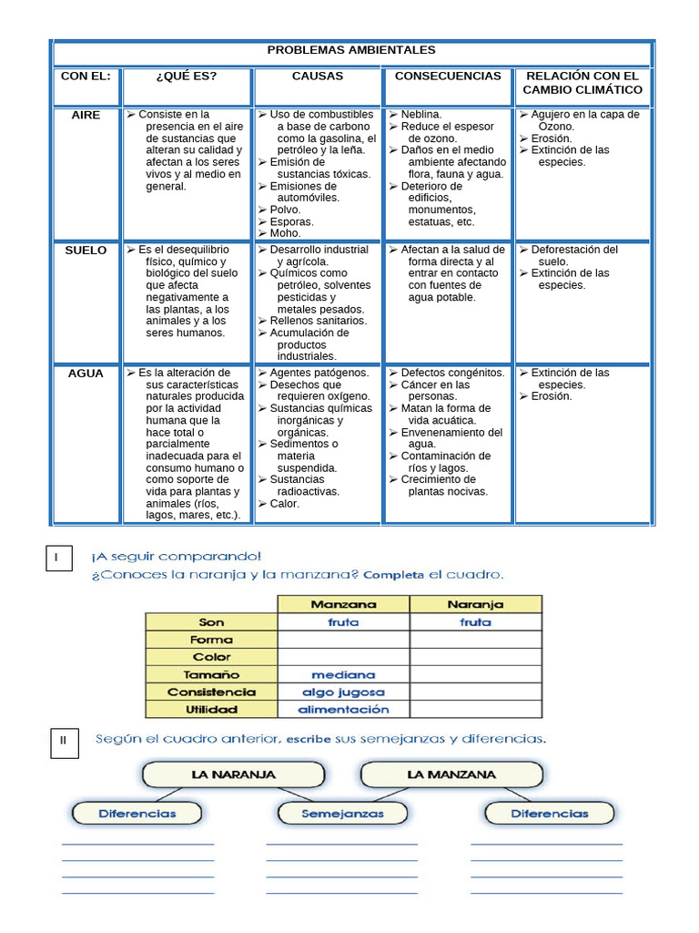 Ejercicios Comu Cudro Comparativo 4 Junio | PDF | Agua | Suelo