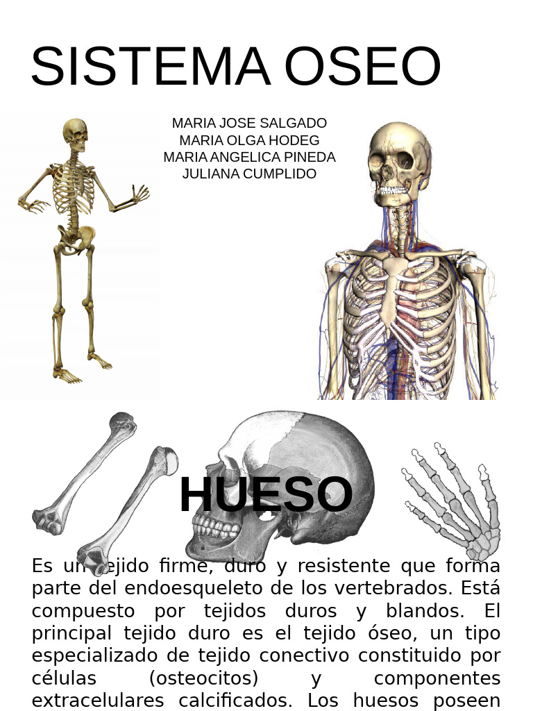 Sistemaoseo 151103204214 Lva1 App6892 | PDF