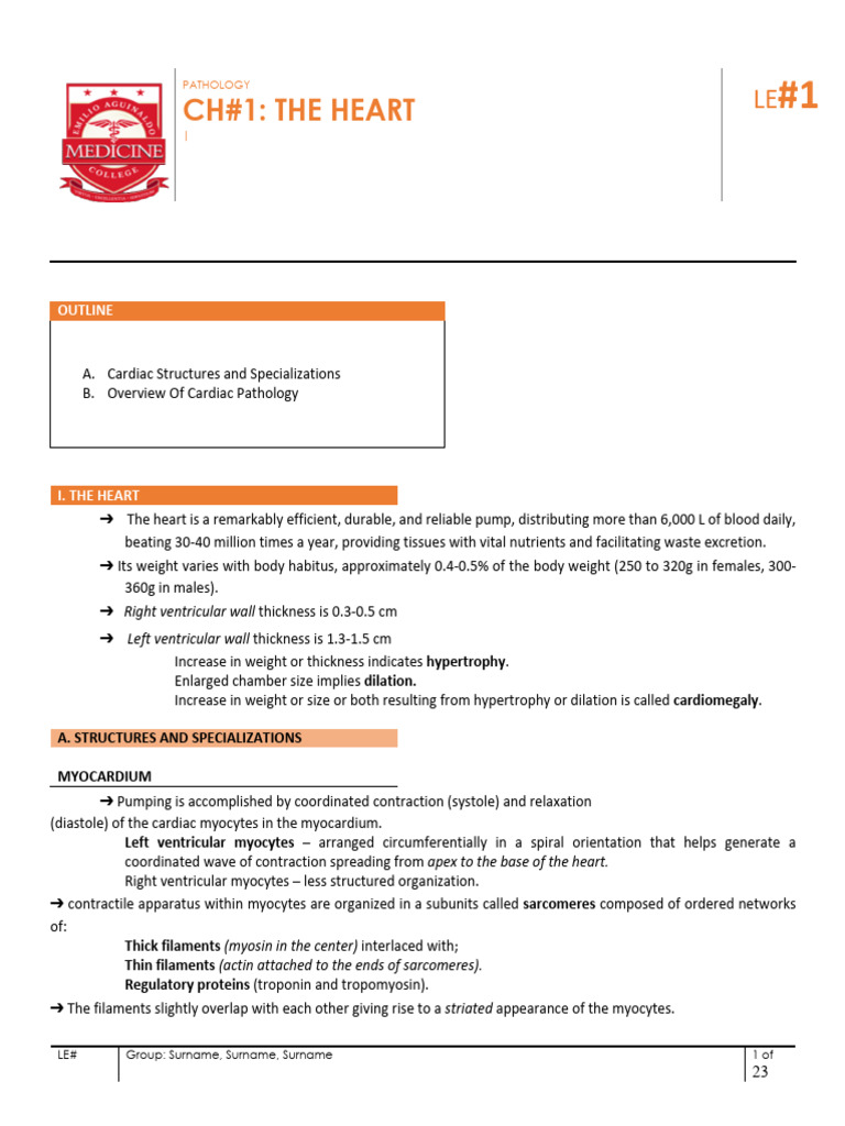 Pathology 2-2 Lec 1.2 (Heart) | PDF | Heart | Coronary Circulation