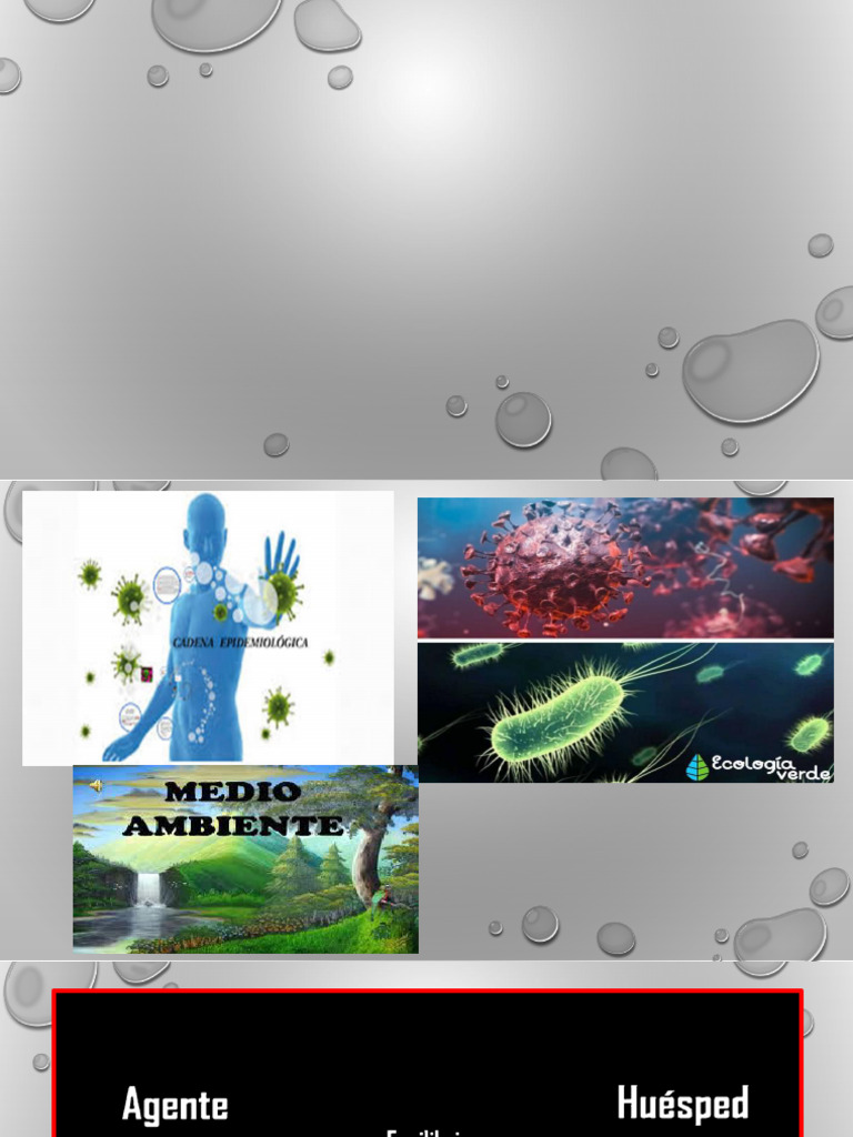 Triada Epidemiologica | PDF | Epidemiología | Virus