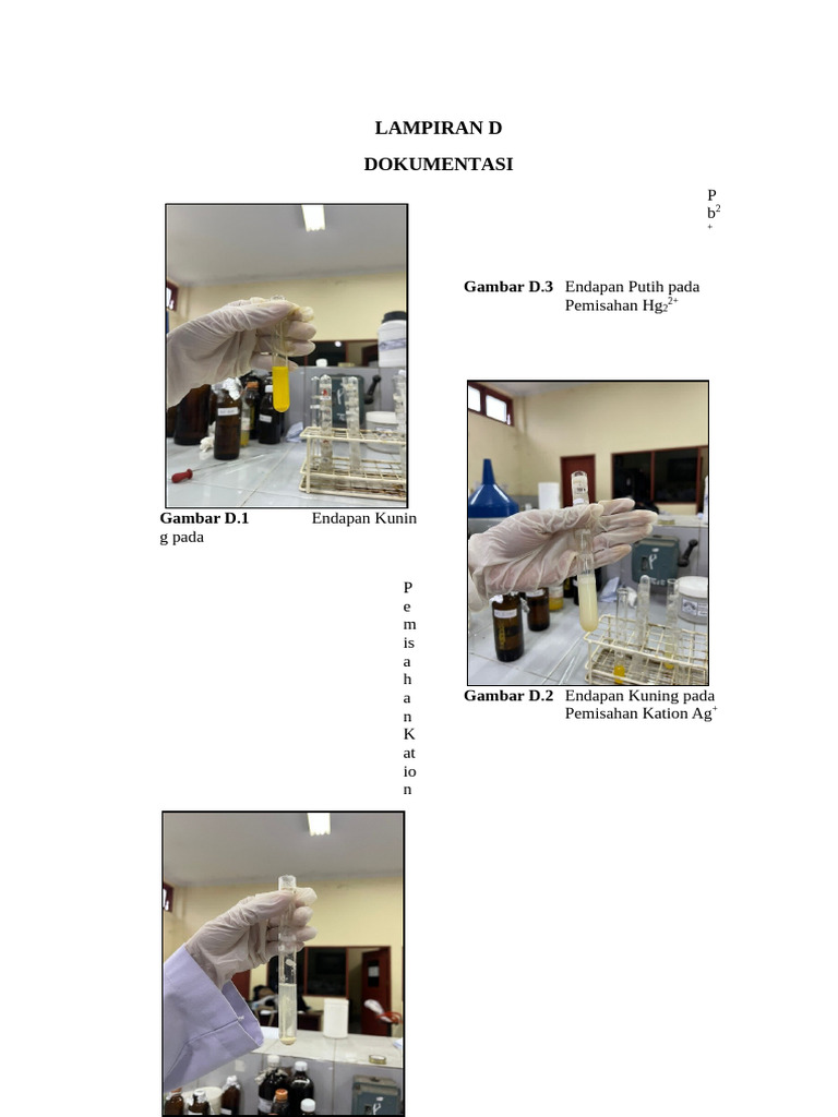 Lampiran D Modul 1 | PDF