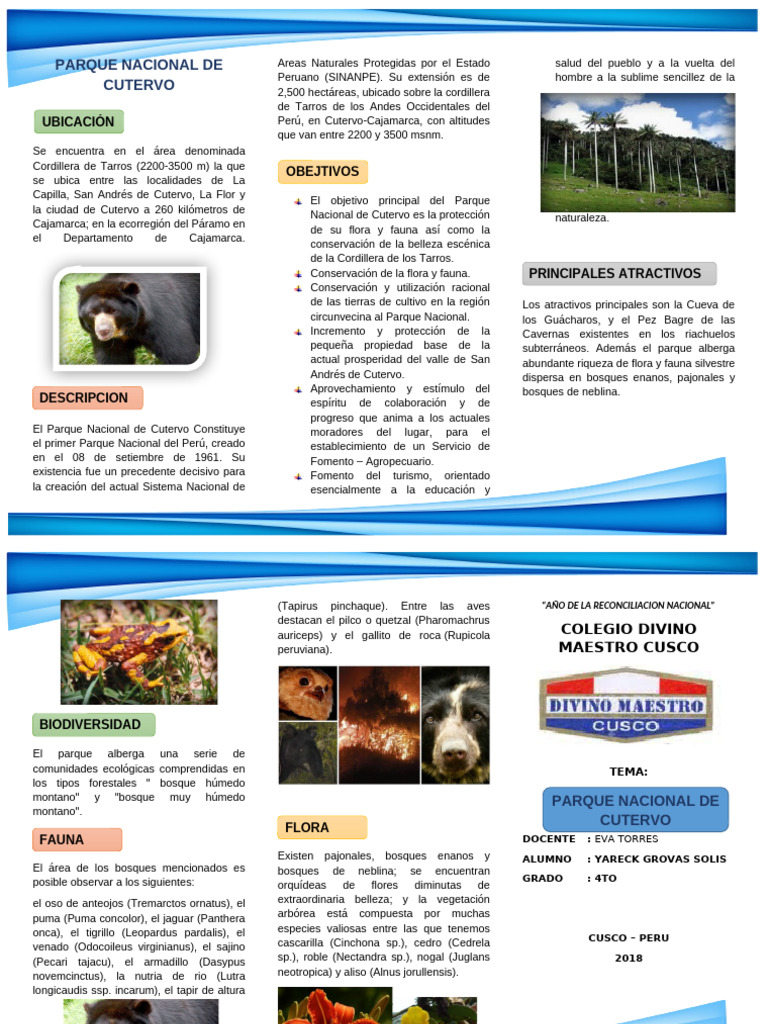 Parque Nacional de Cutervo | PDF