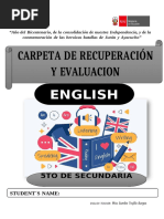 BHW Accomplishment Report Form | PDF