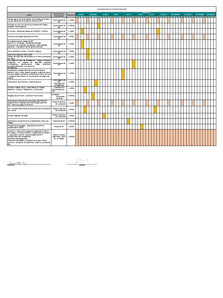 2025 Plan Maestro de Capacitación BFM | PDF