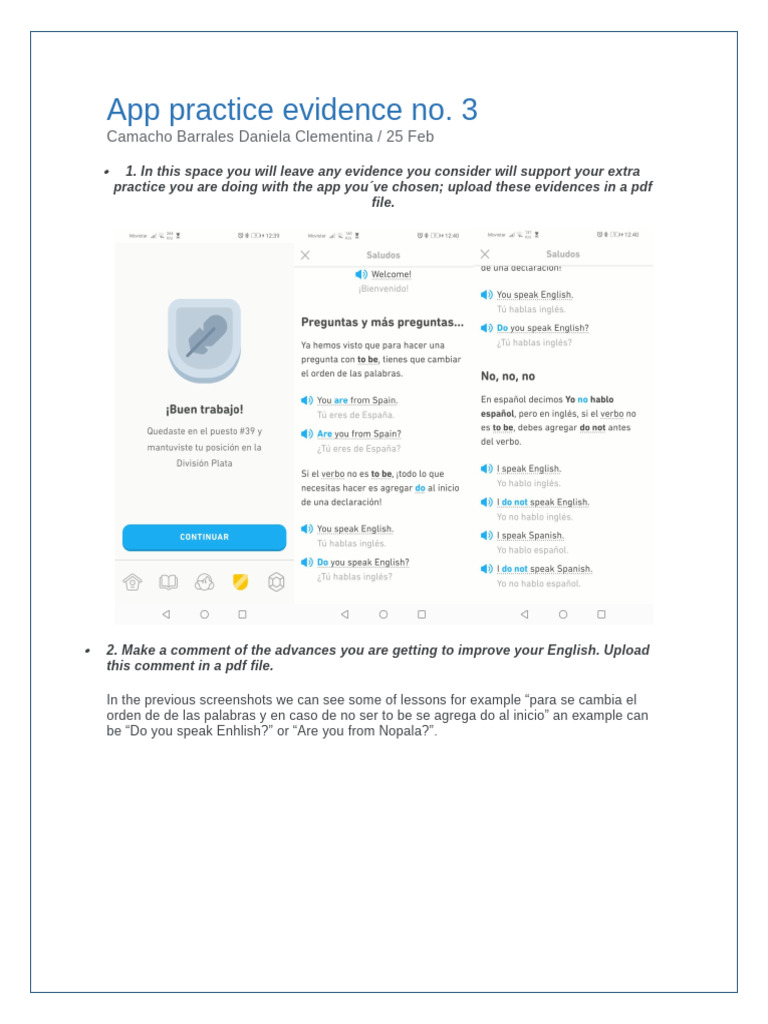 App Evidence 3 | PDF