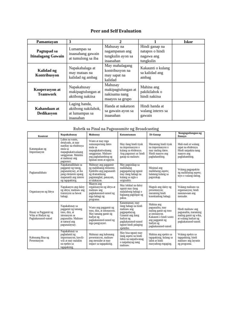 Peer and Self Evaluation (PT Broadcasting) | PDF