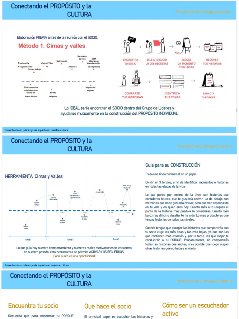 Cultura de Propositos | PDF