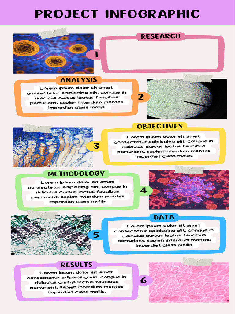 Colorful Creative Project Research Infographic | PDF