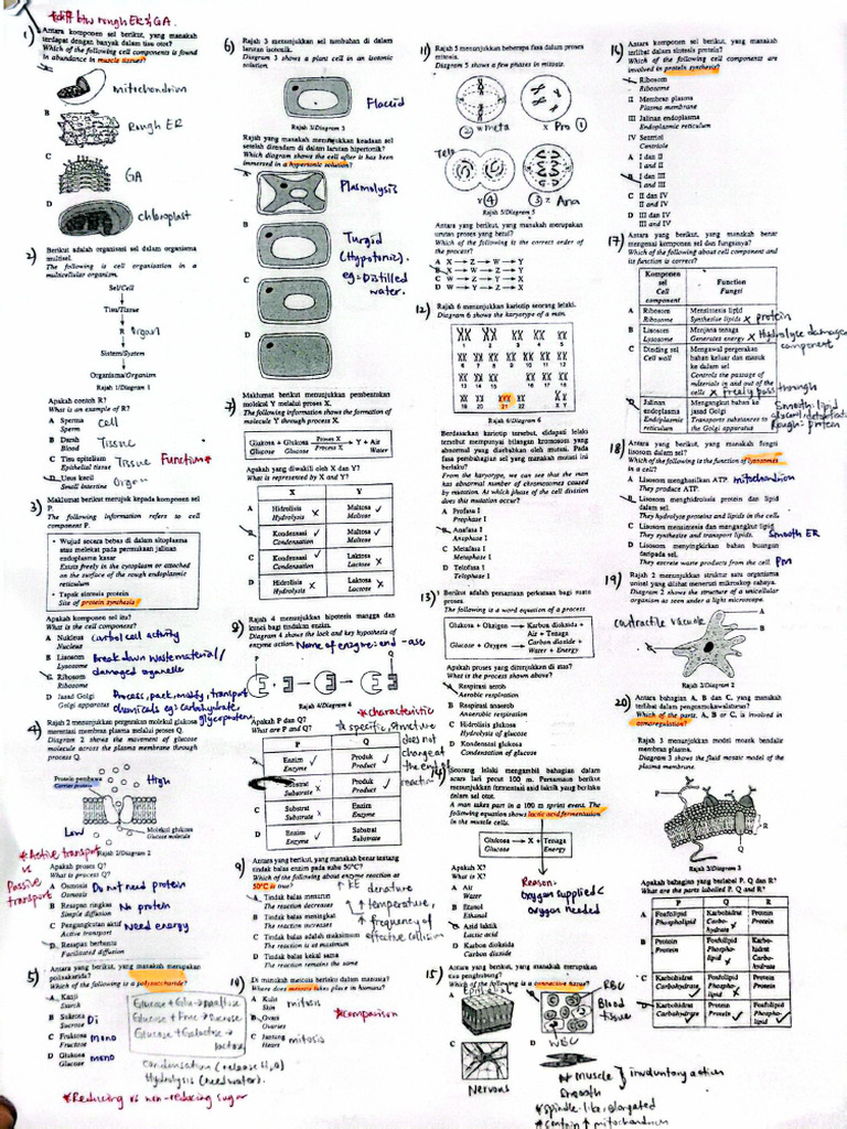 Form 4 Bio MYE Revision | PDF