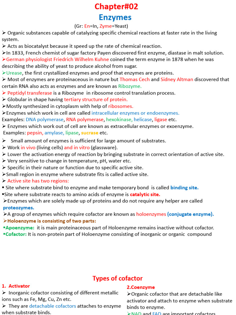 Enzyme Complete Sir Majid Science Inn | PDF | Enzyme Inhibitor | Enzyme