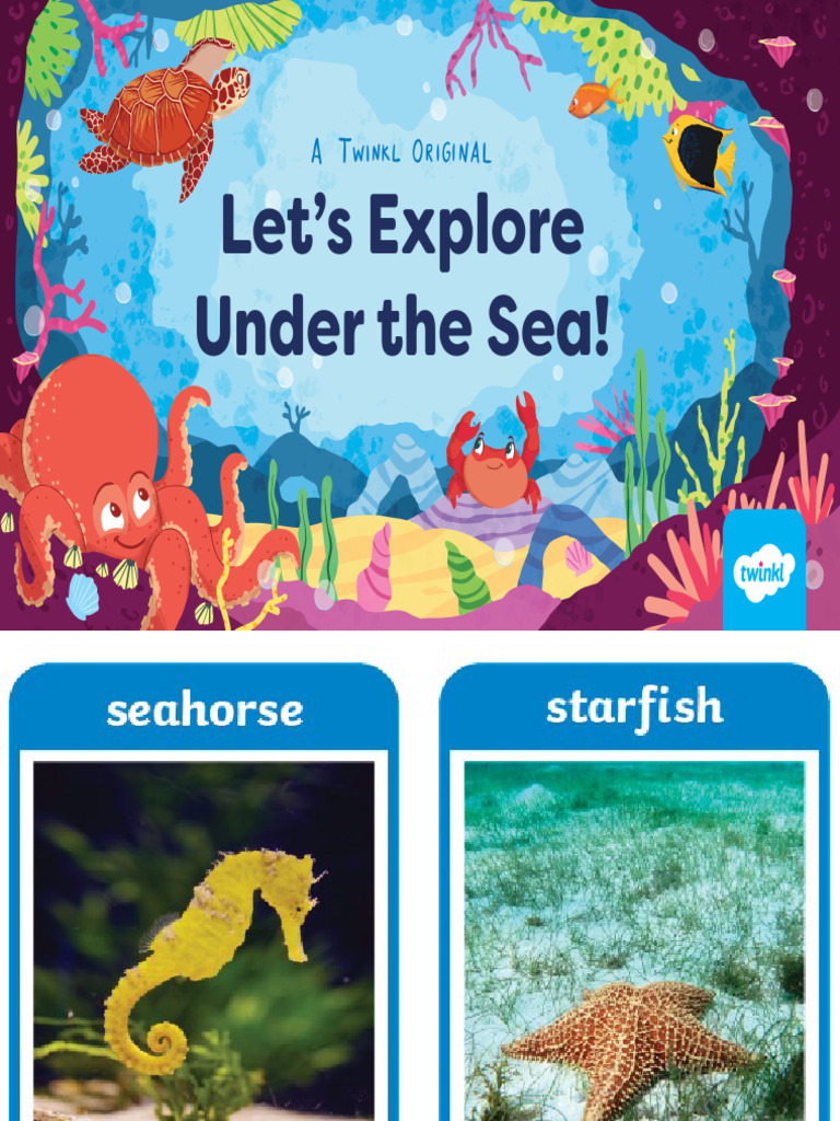 English Class 4 | PDF