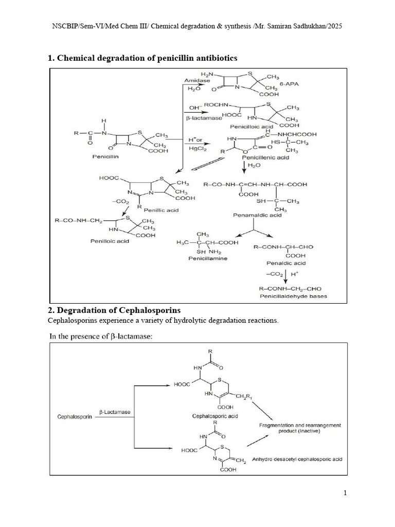 Chemical Degredation & Synthesis | PDF | Isomer | Chemical Reactions