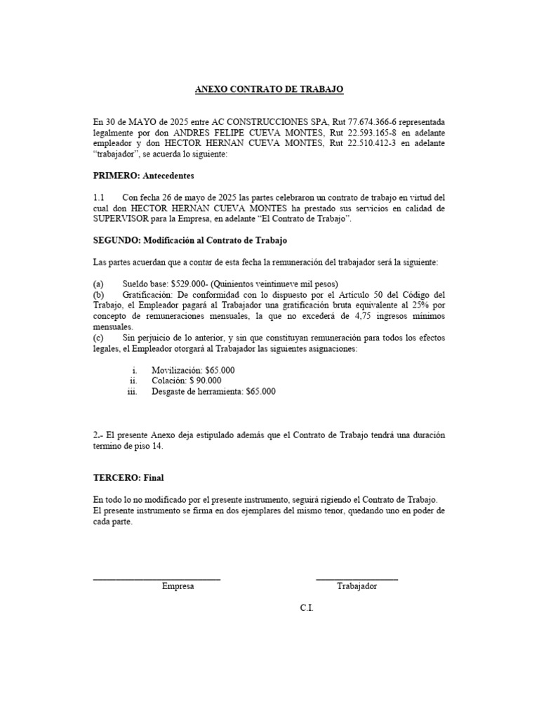 Anexo Sueldo Minimo Hector | PDF