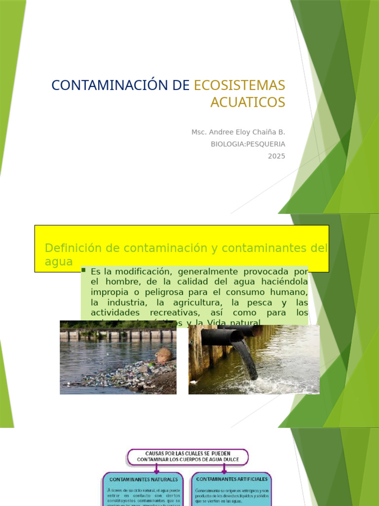 Contaminación de Ecosistemas Acuaticos - 2 | PDF | La contaminación del ...