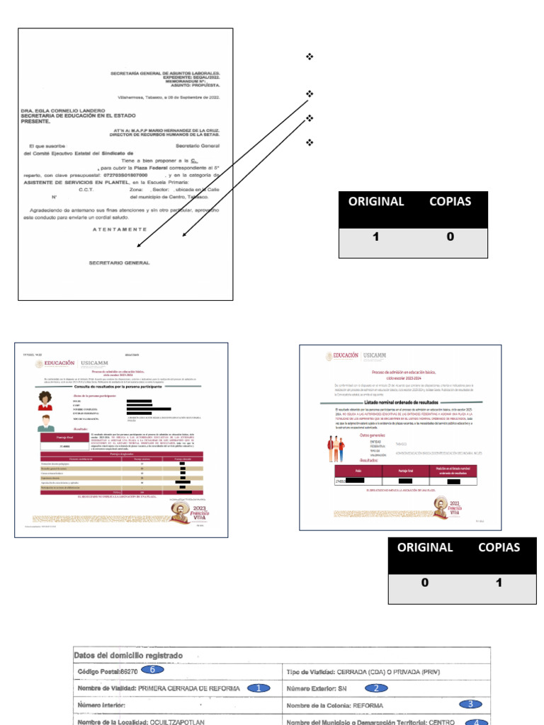 G) Guía de Llenado de Documentos | PDF | Certificado de nacimiento