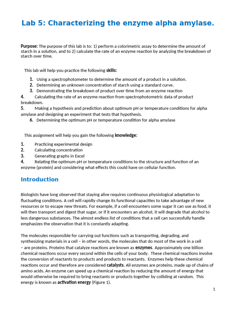 Lab 5- Enzyme Lab Final | PDF | Enzyme | Active Site