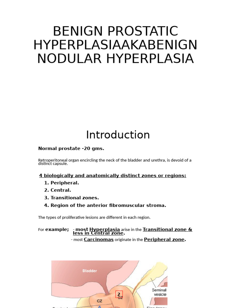 Benign Prostatic Hyperplasia | PDF | Prostate | Medical Specialties