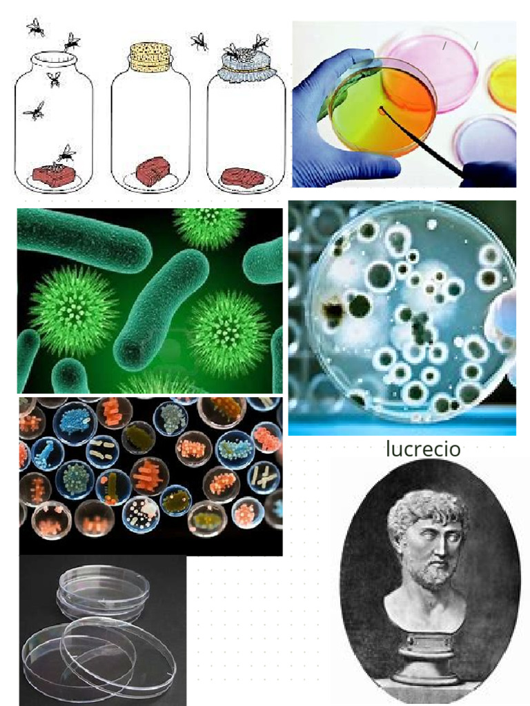 Minimal Notes Sheet - US Letter - 20240908 - 155856 - 0000 | PDF