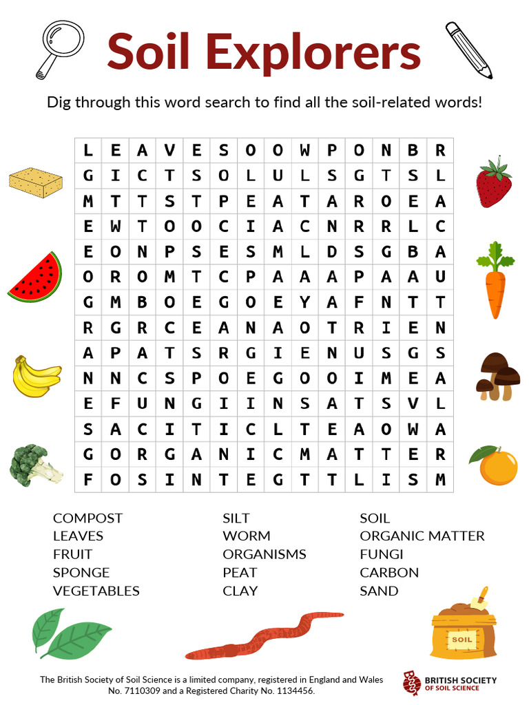 Soil Explorers Word Search | PDF