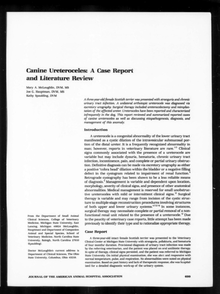 Canine Ureteroceles - A Case Report and Literature Review | PDF