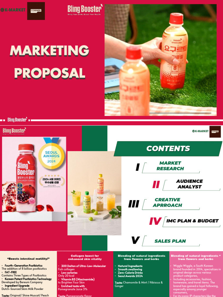 Bling Booster MKT Plan 2025 1734611930 | PDF | Brand | Taste