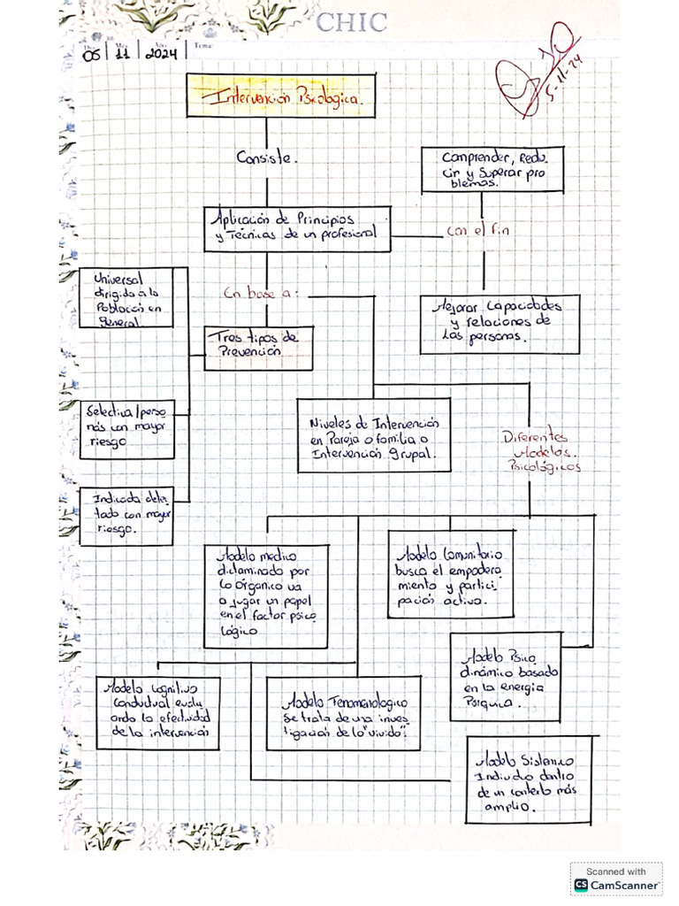 Organizador Grafico | PDF