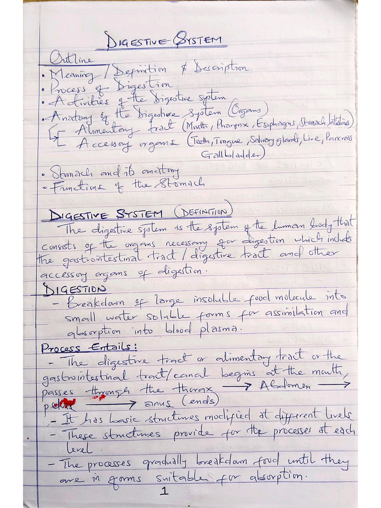 Note On Dig System by Cs. Patrick | PDF