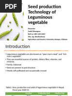 Mung Bean Germination: 7-Day Study | PDF | Seedling | Seed