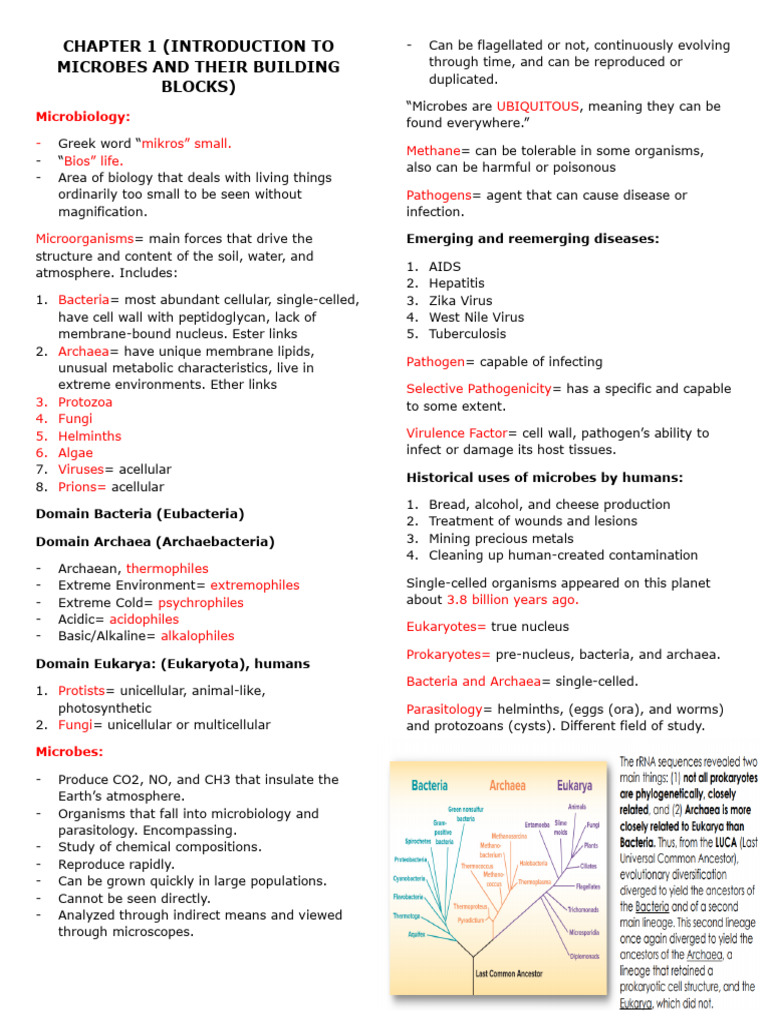 MIDTERMS LECTURE TRANSES | PDF | Cell (Biology) | Bacteria