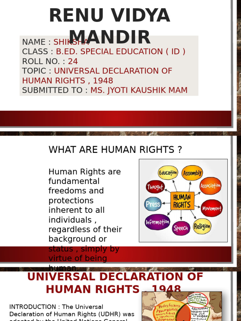 Overview of the UDHR Principles | PDF | Human Rights | International Law