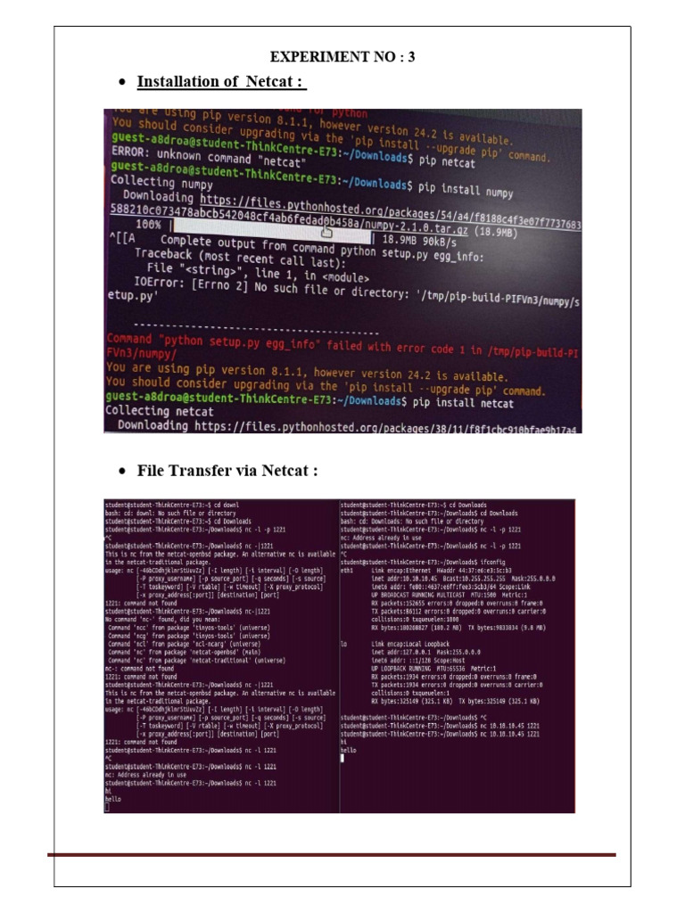 Cyber Experment. 3 | PDF