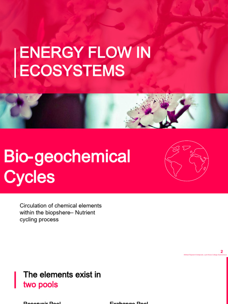 Energy Flow and Biogeochemical Cycles | PDF | Carbon Dioxide | Carbon Cycle