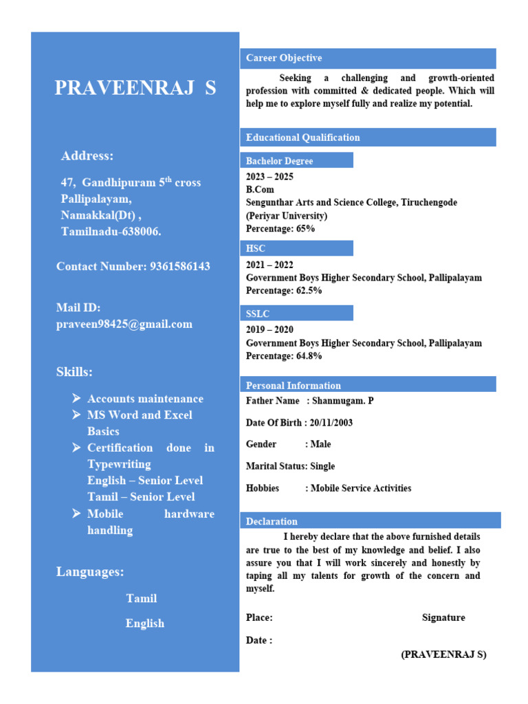Praveen Resume 1 | PDF