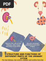 Urinary System For Grade 6 | PDF | Urinary System | Urine