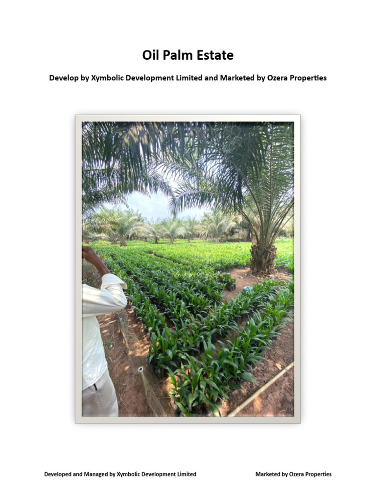 Invest in Oil Palm Estate for Wealth | PDF | Risk | Hedge (Finance)