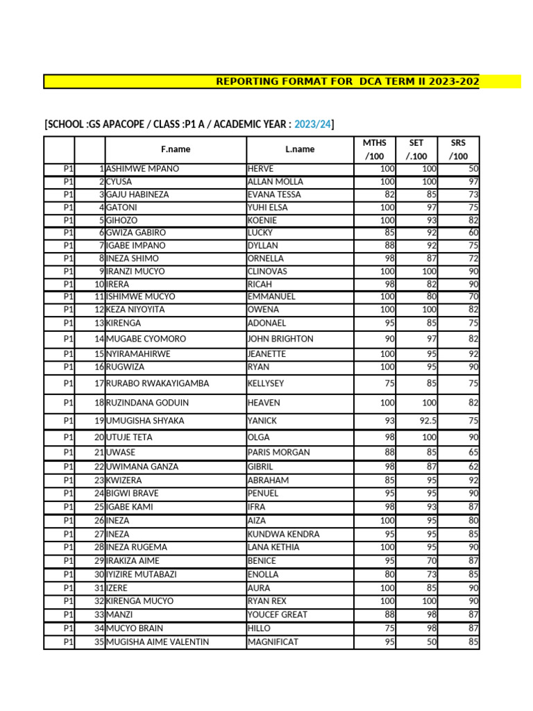 G.S Apacope Reporting Format Dca Nyarugenge Final - xlsx2 | PDF
