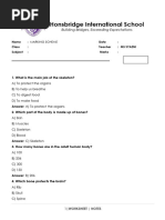Kahoot Quiz on Human Body Systems | PDF