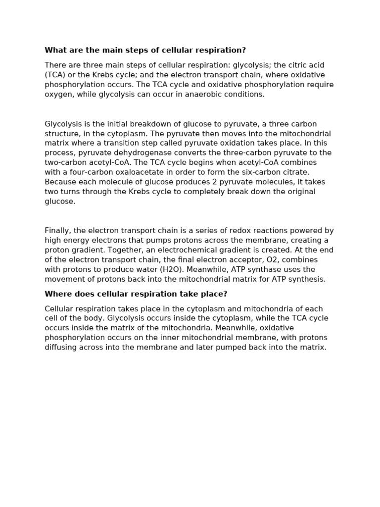 Cellular Respiration | PDF