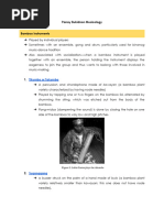 Panay Bukidnon Bamboo Music Heritage | PDF | String Instruments ...