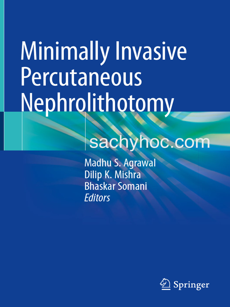 Minimally Invasive Percutaneous Nephrolithotomy 2022 | PDF | Kidney ...