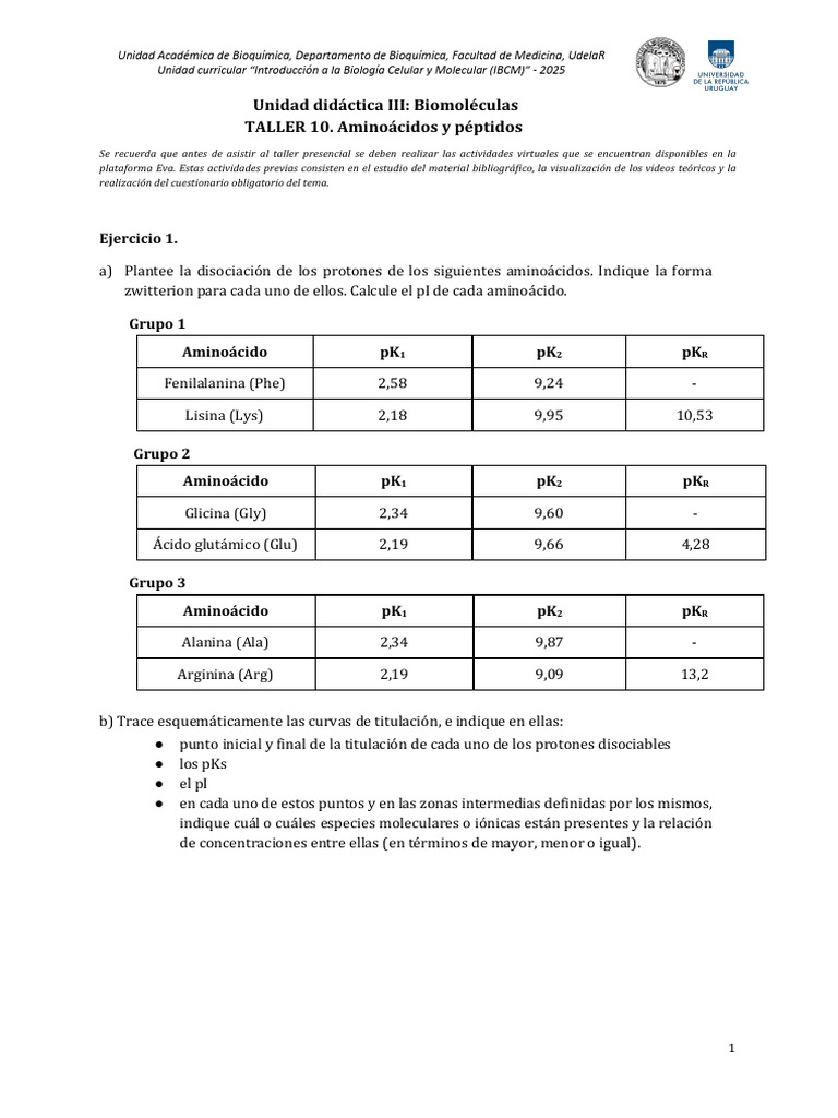 Taller 10 - Aminoacidos y Péptidos - IBCM 2025 | PDF | Electroforesis ...